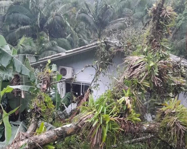 Forte Chuva Provoca Deslizamentos Alagamentos E Quedas De árvores Em